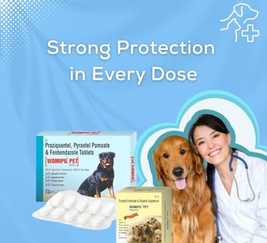 Buy Pet Tablets Online | Deworming Tablets for Dogs – PIL