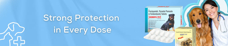 Buy Pet Tablets Online | Deworming Tablets for Dogs – PIL